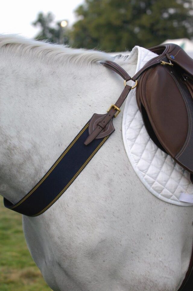 Elastic Breastplate
