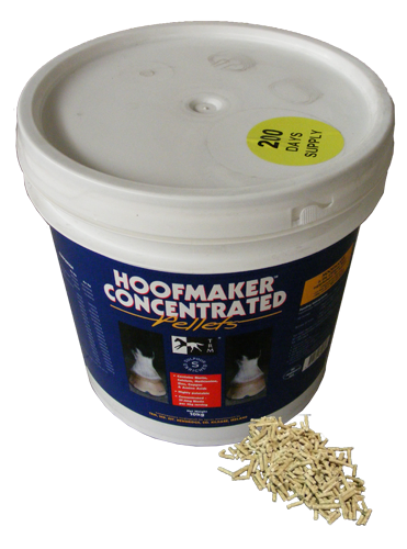 Spanish Lunge Cavesson - Southern Stars Saddlery