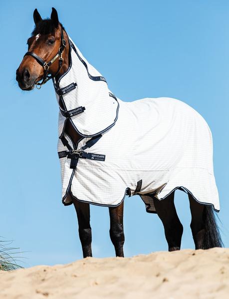 Spanish Lunge Cavesson - Southern Stars Saddlery